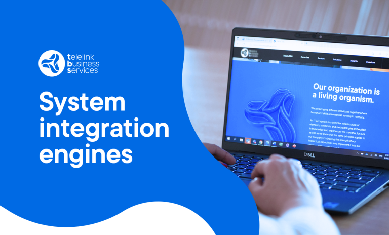 Telelink Business Services