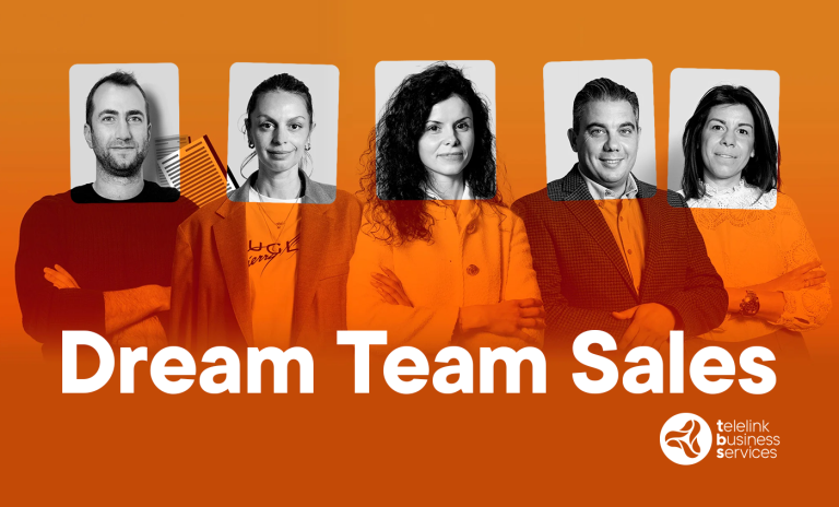 Telelink Business Services