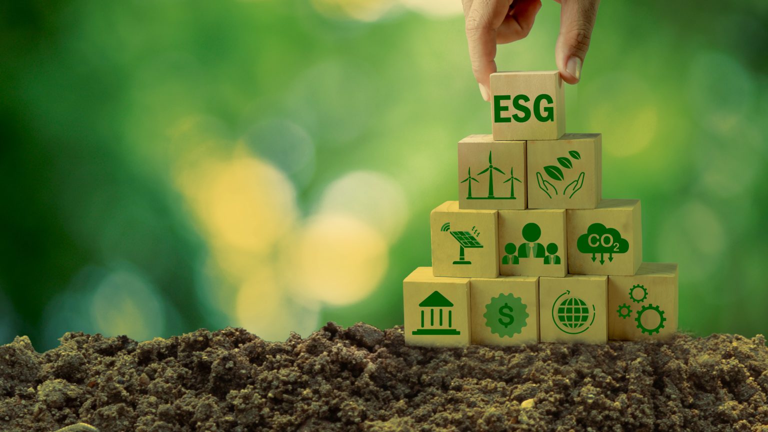 Sustainability - Telelink Business Services