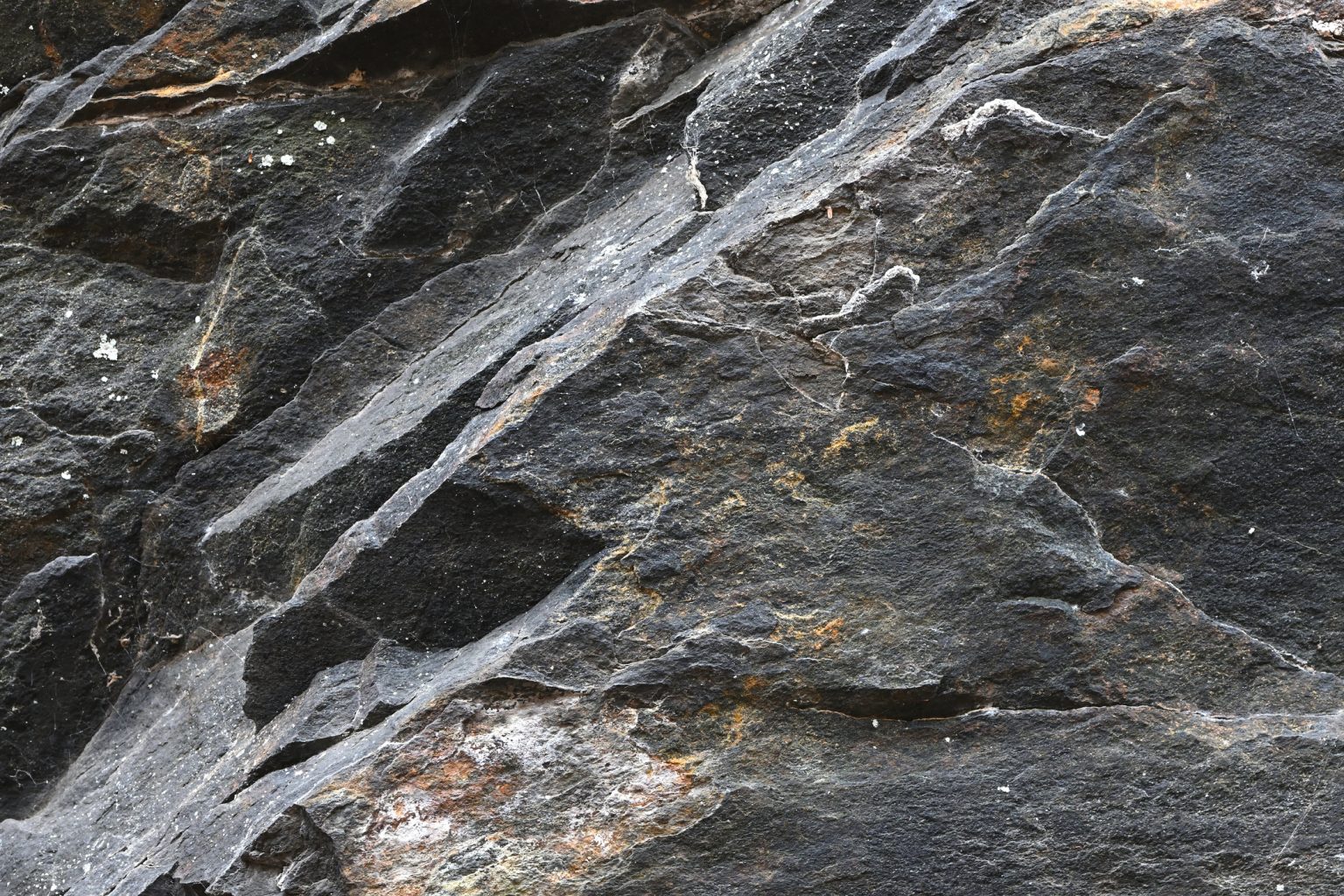 What we do - Telelink Business Services