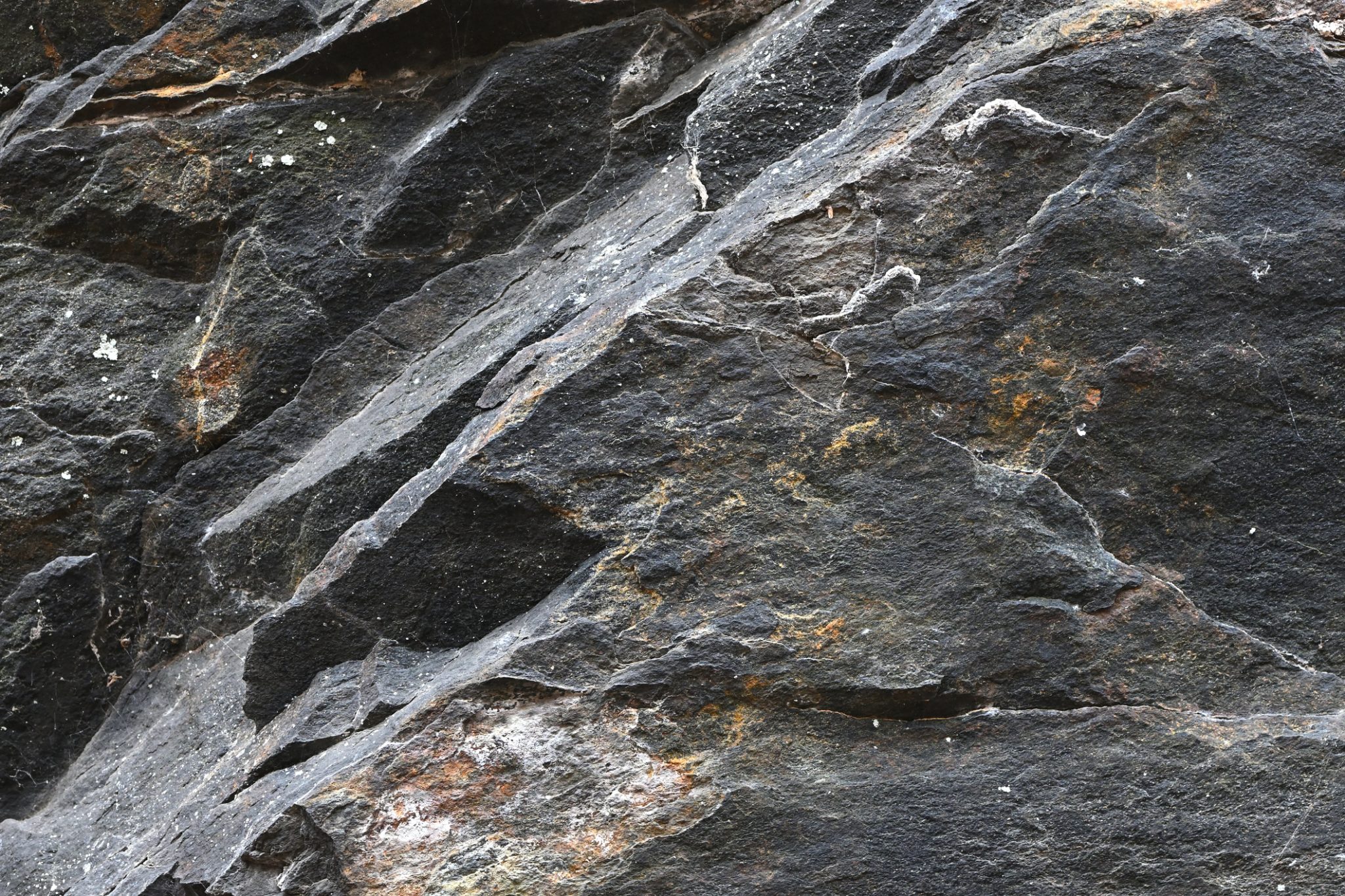 What we do - Telelink Business Services