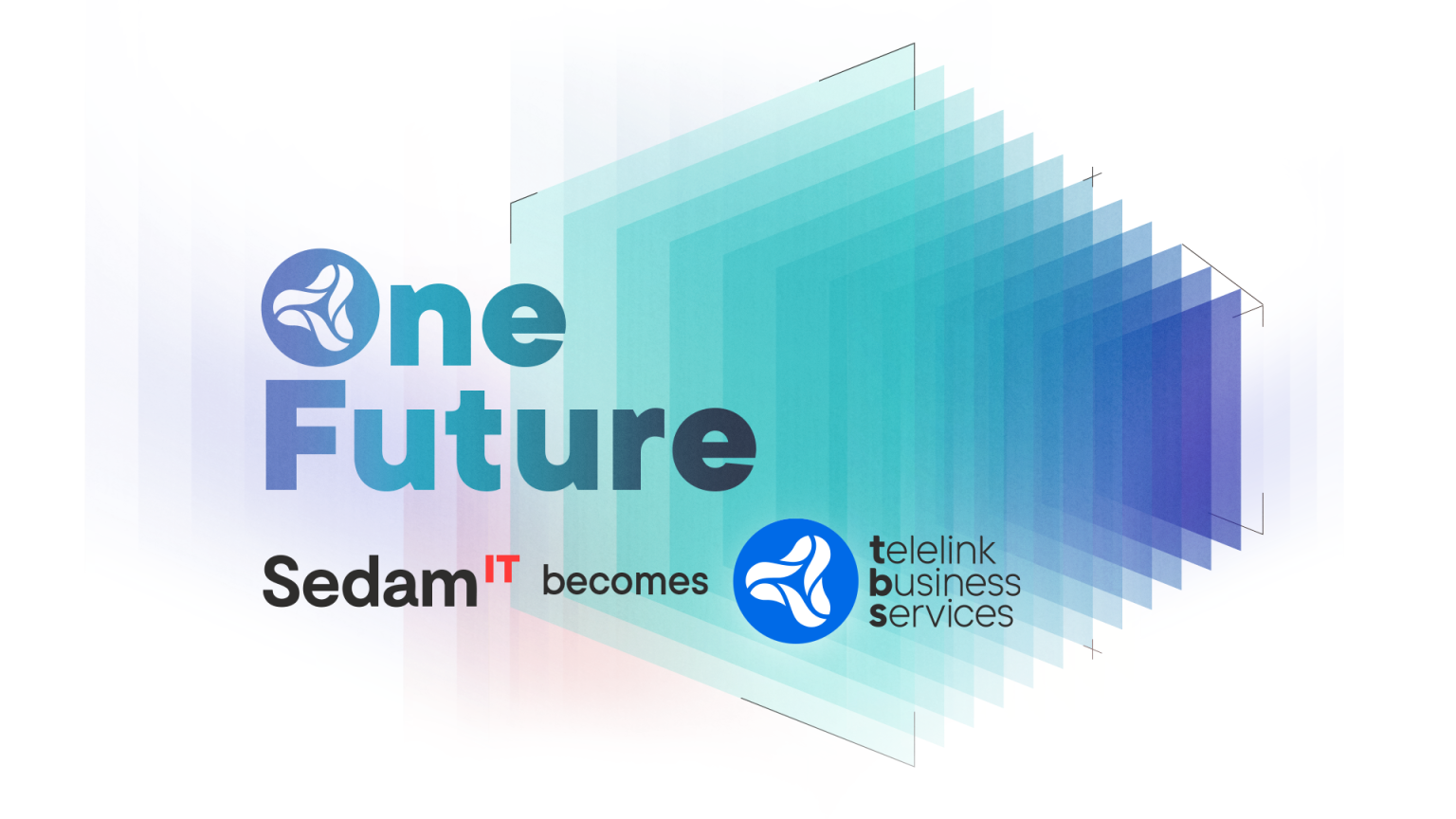 Telelink Business Services